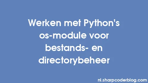 Werken met Python's os-module voor bestands- en directorybeheer - Thumbnail